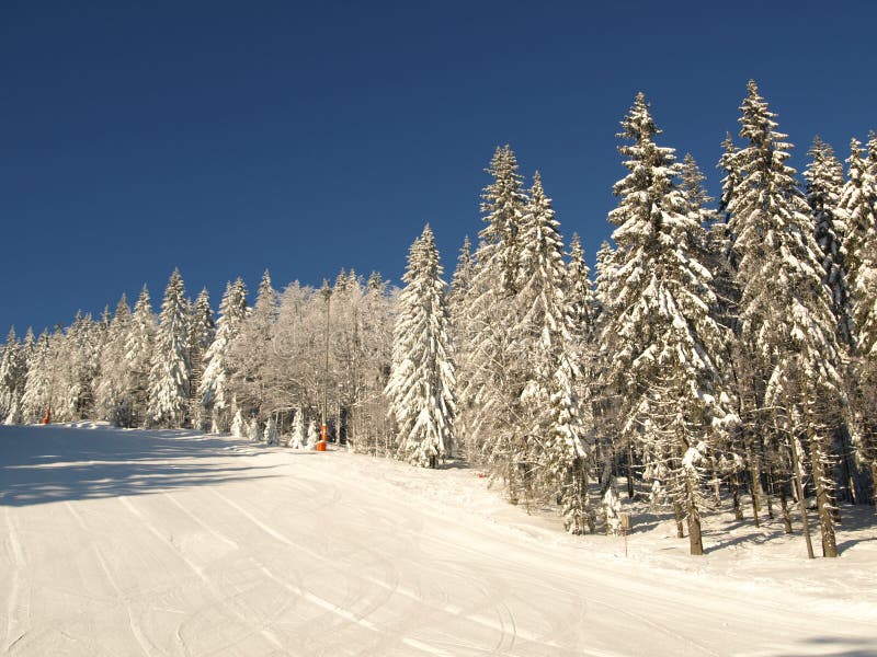 Ski run / ski piste stock photo. Image of winter, spruce - 23205342