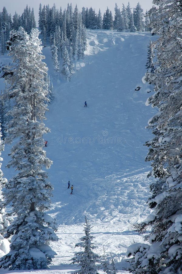 Ski Slope stock photo. Image of slope, people, snowy - 14596928