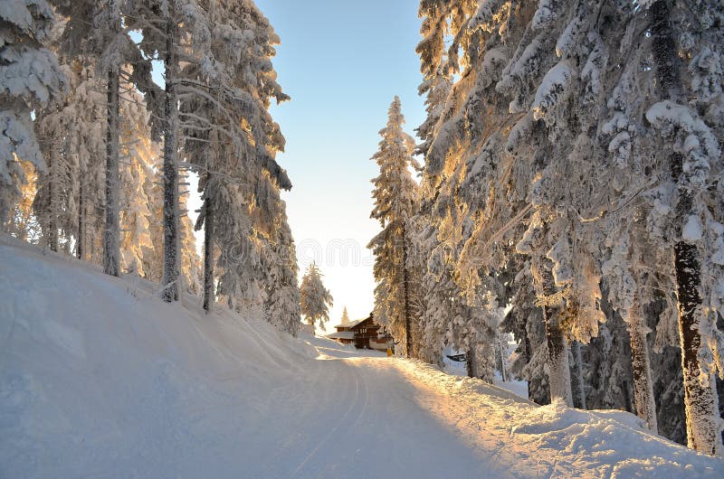 Ski slope on mountain stock image. Image of trees, forest - 50103081