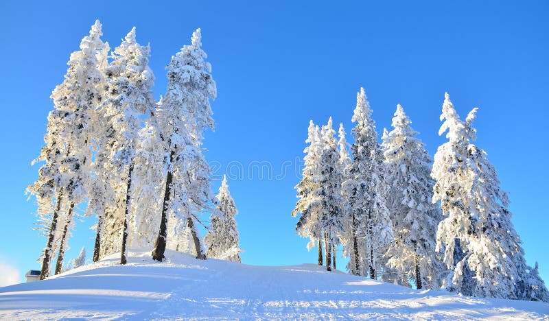Ski Slope at High Altitude, Winter Landscape Stock Photo - Image of ...