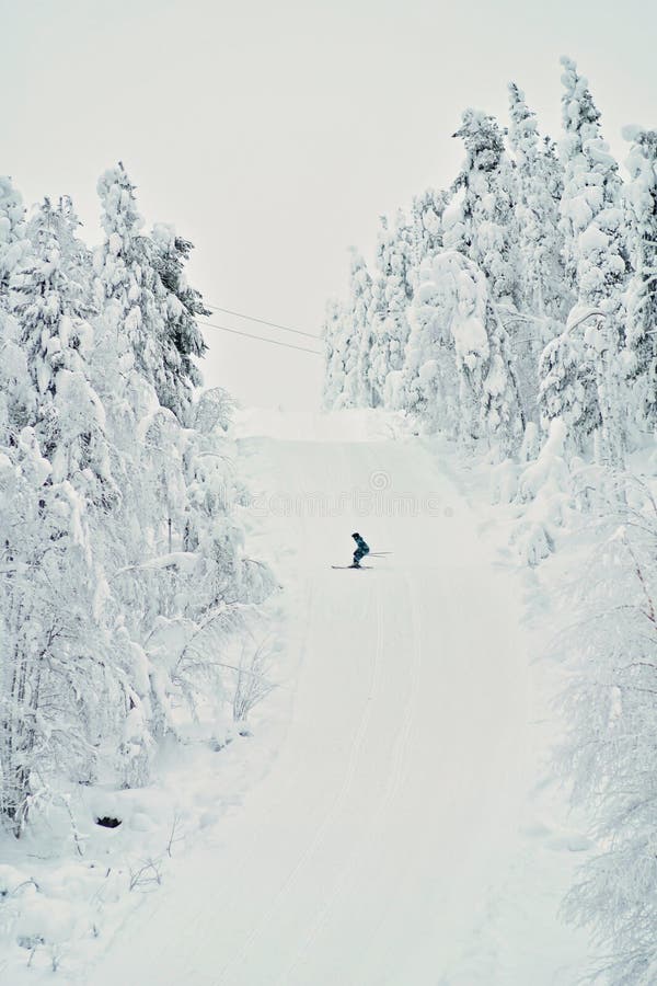 Ski Slope and One Skier Pictured from Below. Slope is Surrounded by ...