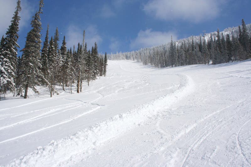 Ski Slope in the Snow Forest in Sunny Winter Day Stock Image - Image of ...