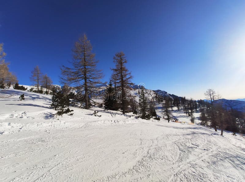 A Ski Slope Surrounded by Trees Stock Image - Image of lifestyle ...
