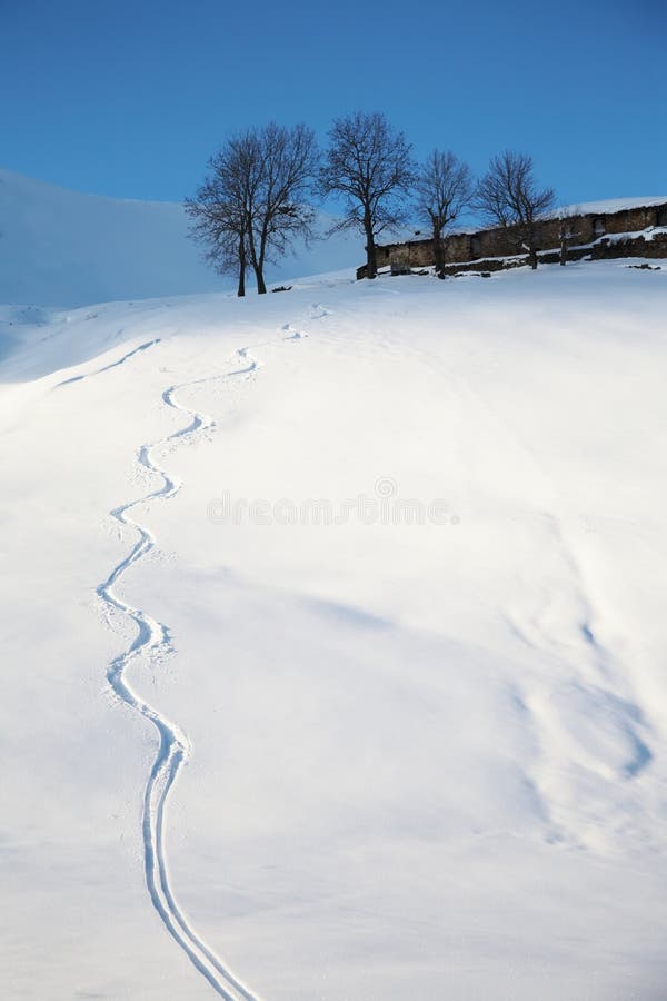 Ski trace stock photo. Image of snowy, chilly, snow, skiing - 7329276