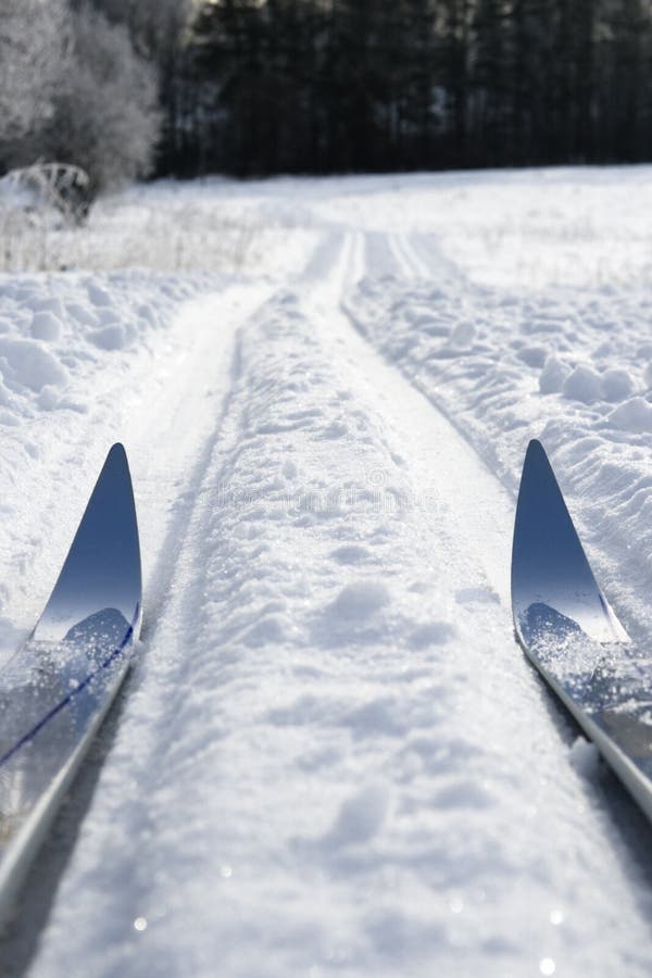 Ski track stock image. Image of sport, forest, white, cold - 8411725
