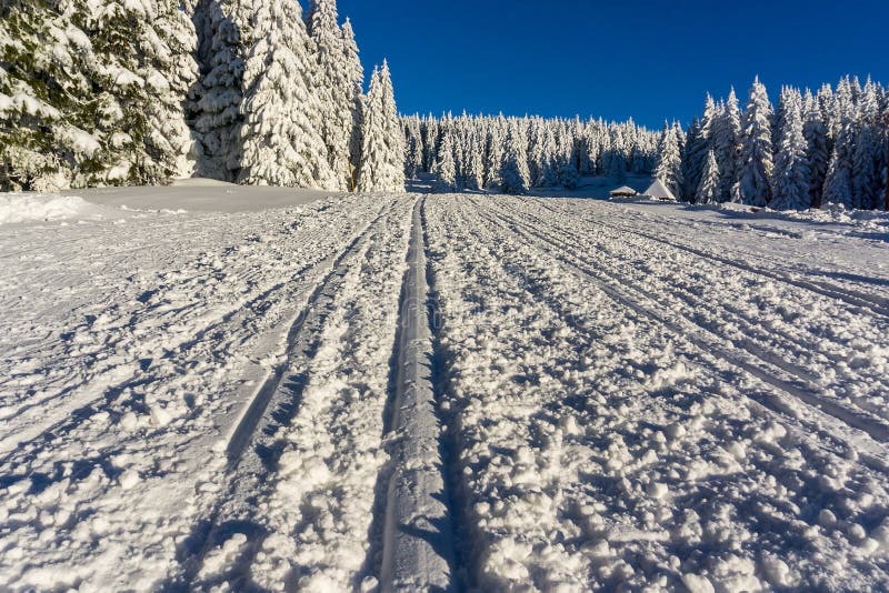 Ski track stock image. Image of line, activity, forest - 12995097