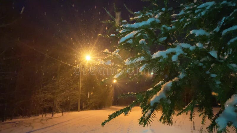 Ski Track, Road, Path in Winter Under the Light of Lanterns, Snowfall ...