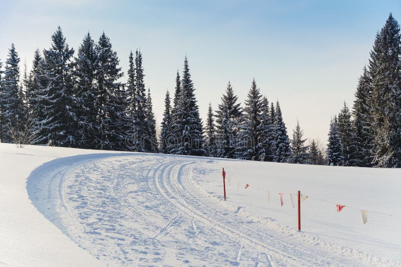 Ski Track. Turn with Flags in the Winter Forest. Stock Photo - Image of ...