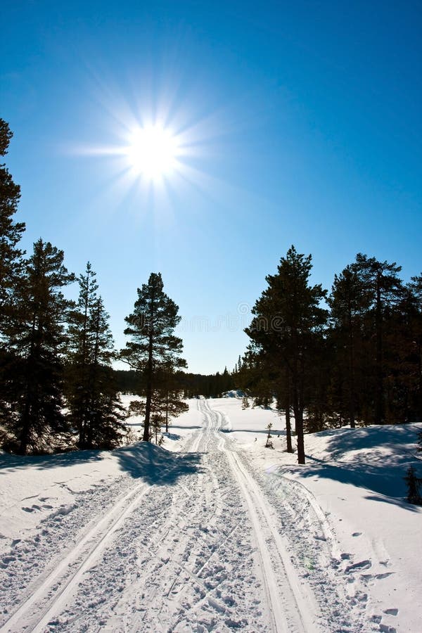 Ski tracks stock image. Image of route, explore, scandinavia - 16297715