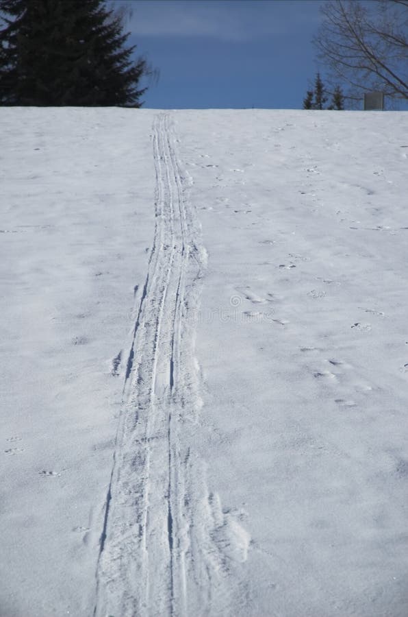 Ski tracks stock image. Image of athletics, trail, push - 3062077