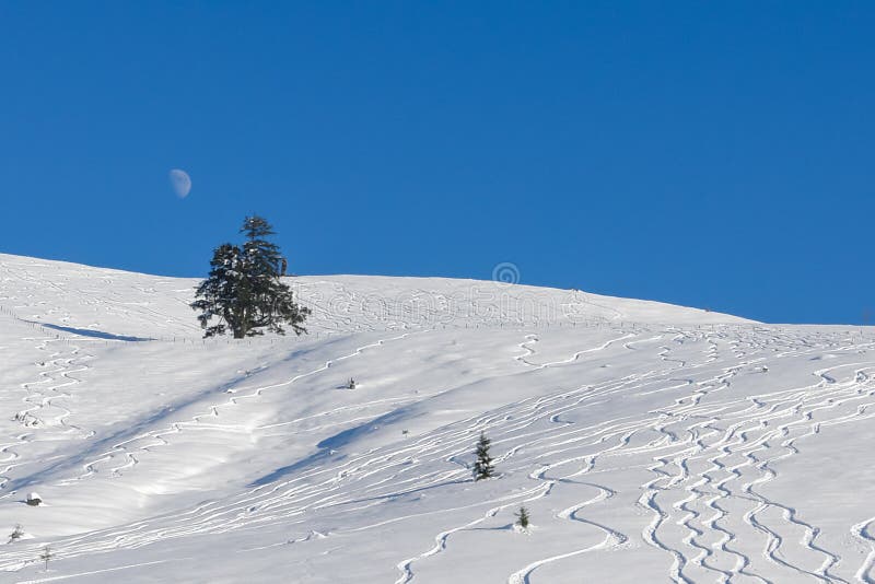 Ski Tracks on an Alpine Slope Stock Photo - Image of blue, mountain ...