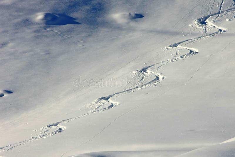 Ski Tracks in the Powder Snow Stock Image - Image of pattern, explore ...