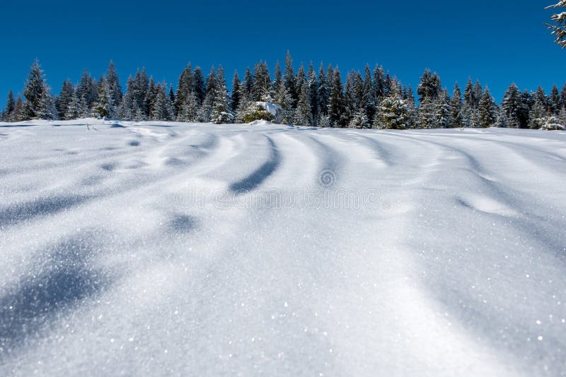 Ski Tracks In The Powder Snow Stock Image - Image of pattern, explore ...