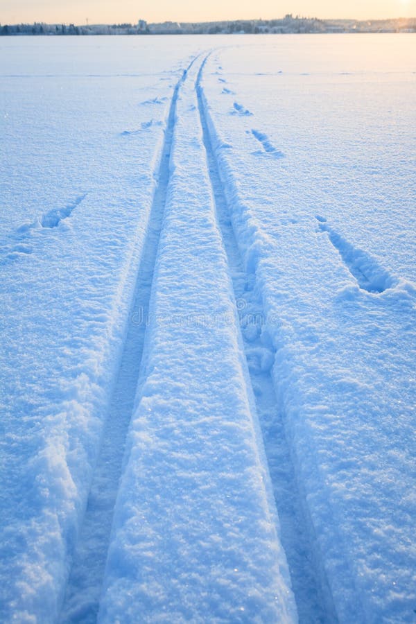 Tracks in the snow stock photo. Image of footprints - 186894256