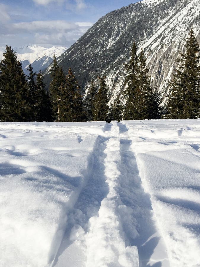 Ski tracks in the snow stock photo. Image of mountain - 110949274