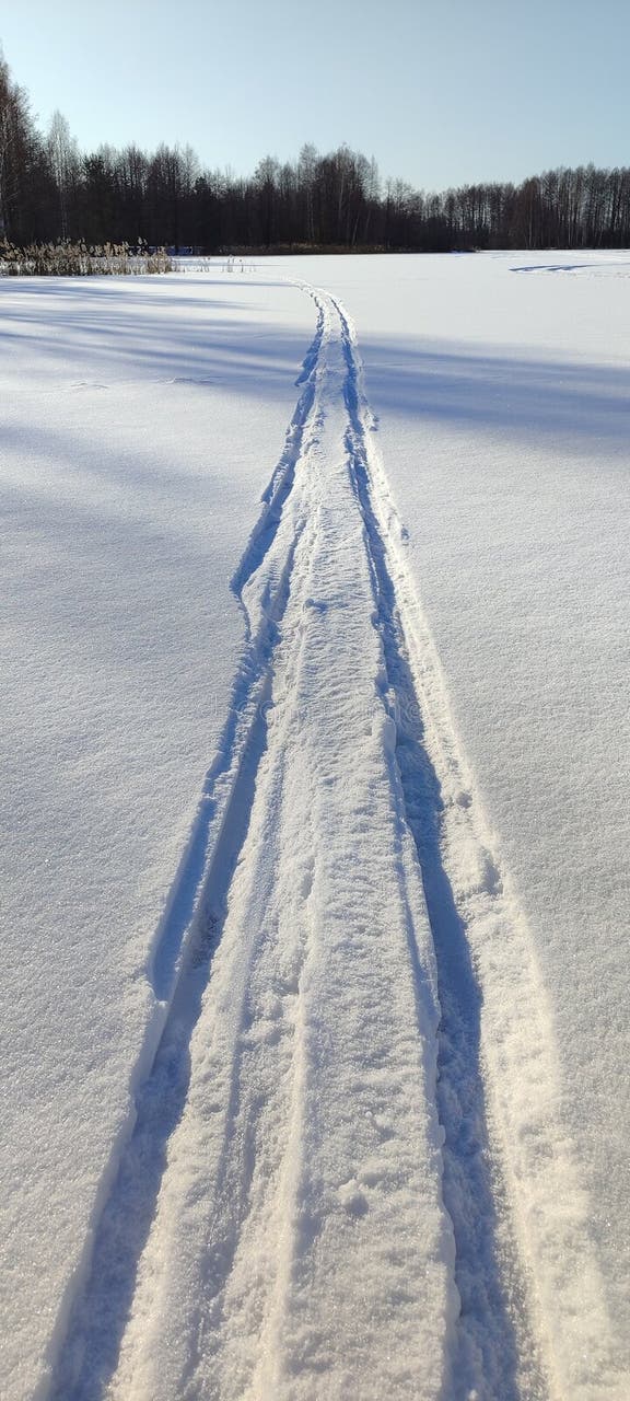 Ski Trail on the Ice of a Forest Lake. Stock Image - Image of lake ...