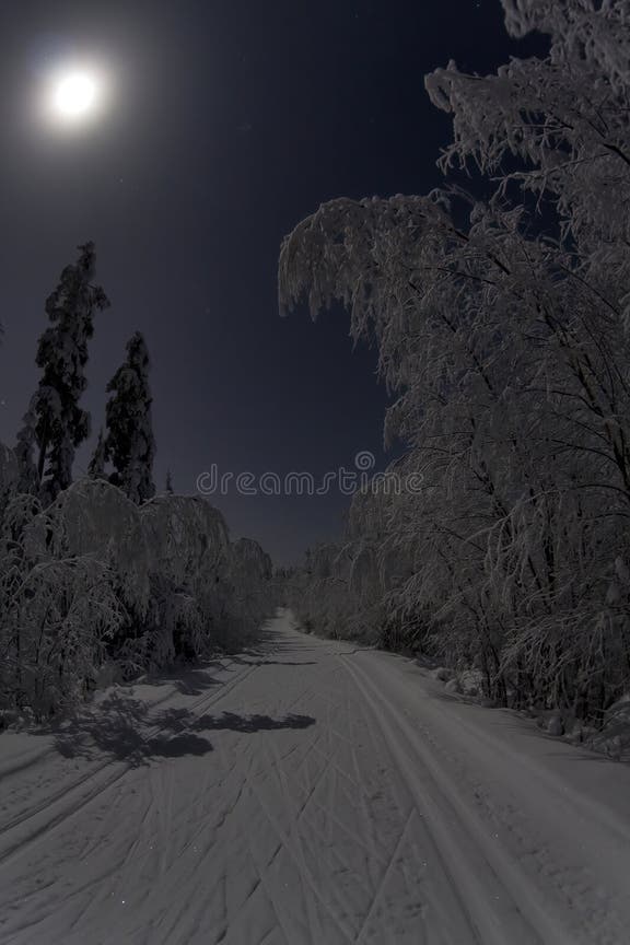Ski Trail in the Moonlight at Night Stock Image - Image of shimmer ...