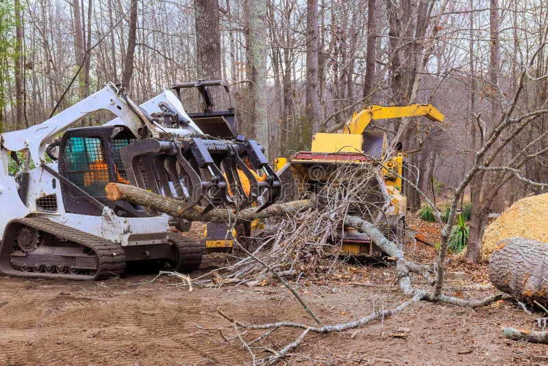 Machines Clear Fallen Trees in Wooded Area during Early Spring ...
