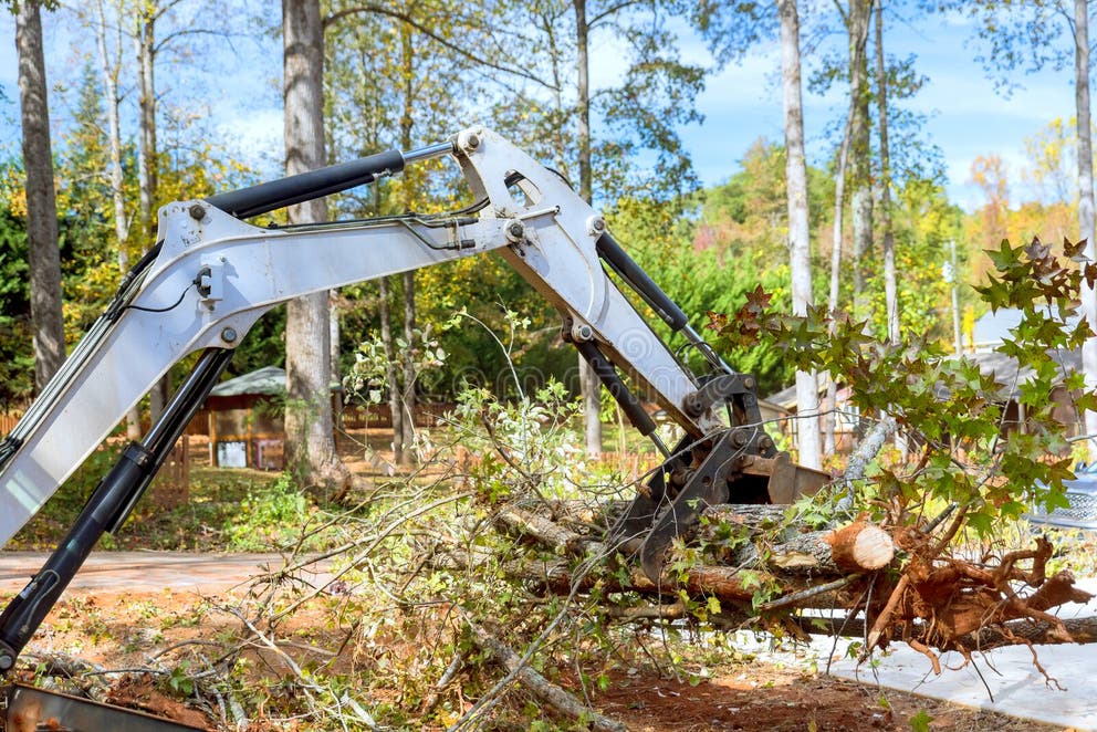 Skid Steer Tractor Aids in a Tree Clearing for Housing Complex ...