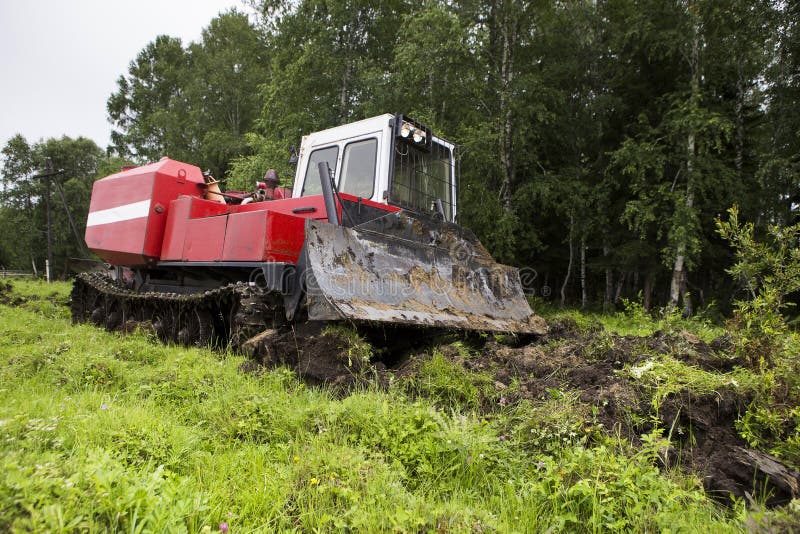 Skidding Tractor in the Work Process Stock Image - Image of logging ...
