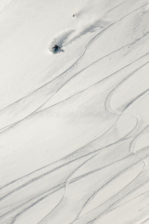 Skier in Fresh Powder Snow. Stock Photo - Image of backcountry, action ...