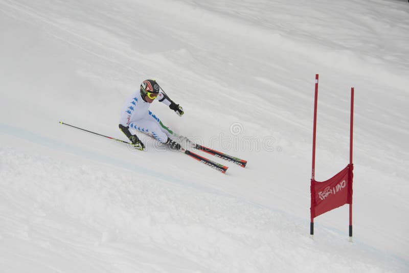 Skier in Giant Slalom Test editorial stock photo. Image of adult - 37527168