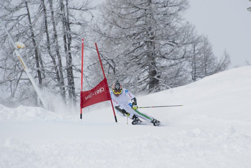 Skier in Giant Slalom Test editorial image. Image of national - 37527180