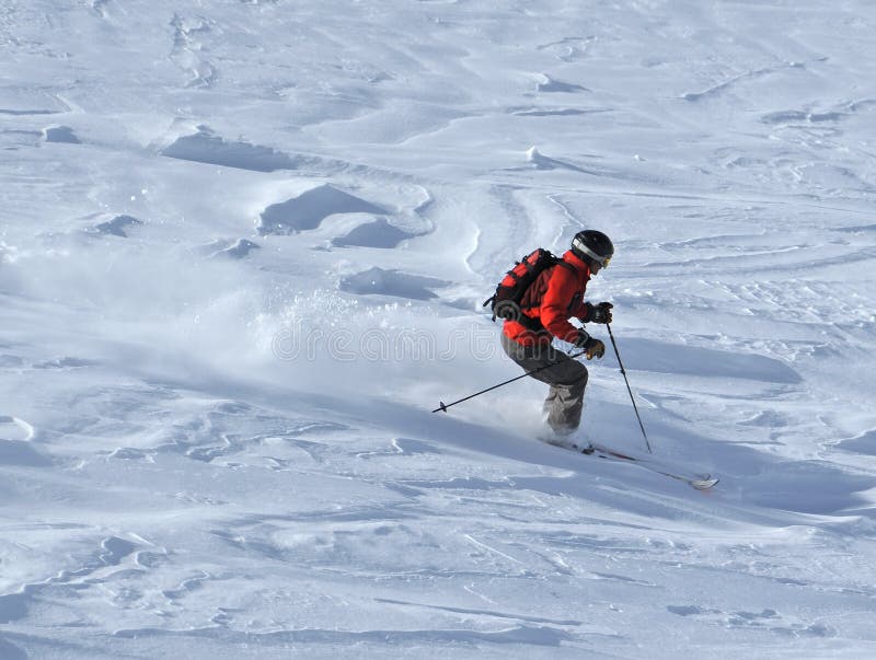 Male skier in powder stock photo. Image of sport, active - 3923458
