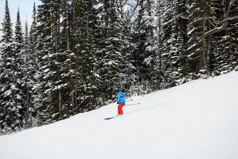Skier Skiing on Snow Covered Mountain Slope Stock Image - Image of ...