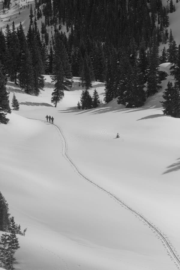 Skiers Hiking in Back-country Forest Stock Image - Image of walking ...