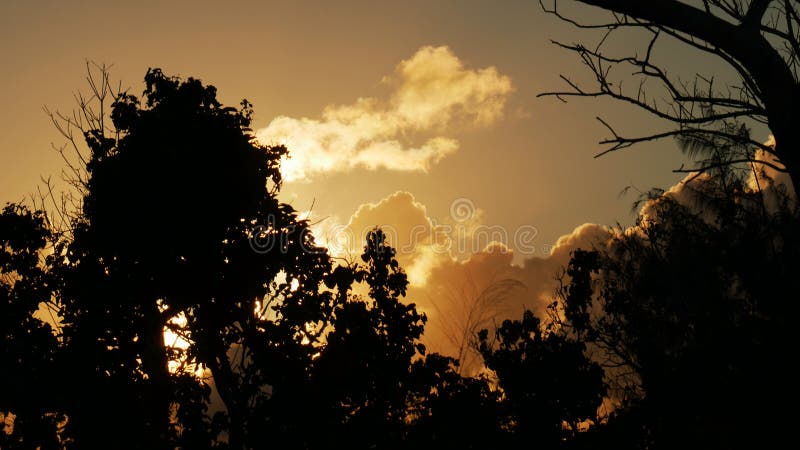 Blazing Skies on Fire at Sunset Behind Silhouettes of Trees Stock Image ...
