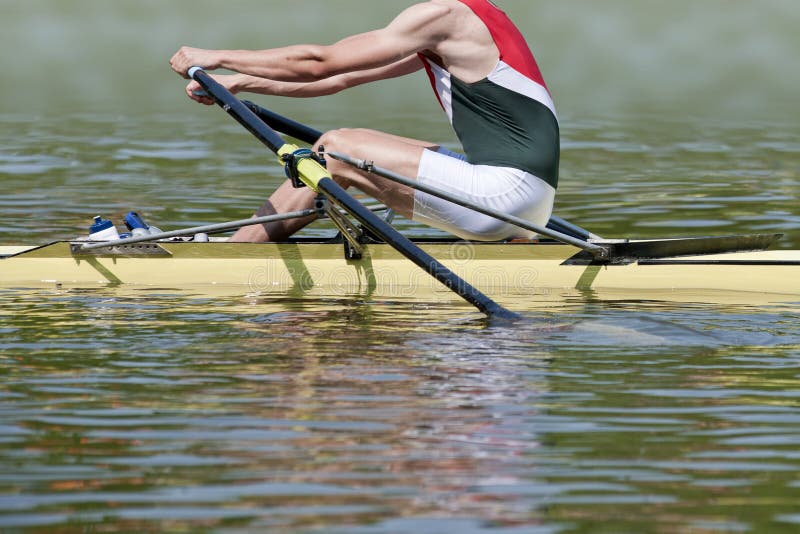 Skiff rower stock photo. Image of muscular, single, rowing - 19911896