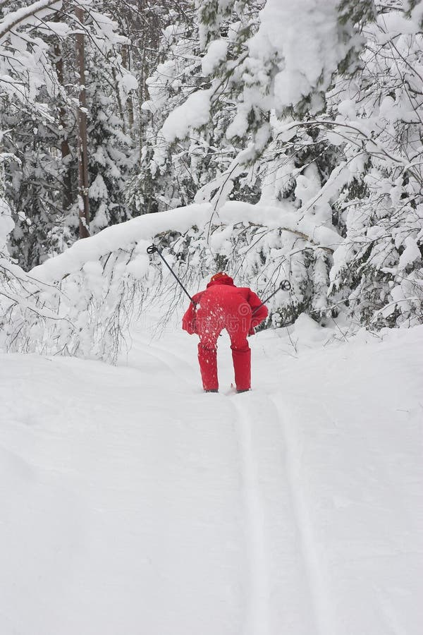 Skiing in forest stock image. Image of splash, scenery - 12671207