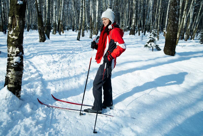 Skiing in the forest stock photo. Image of sport, clean - 8258100