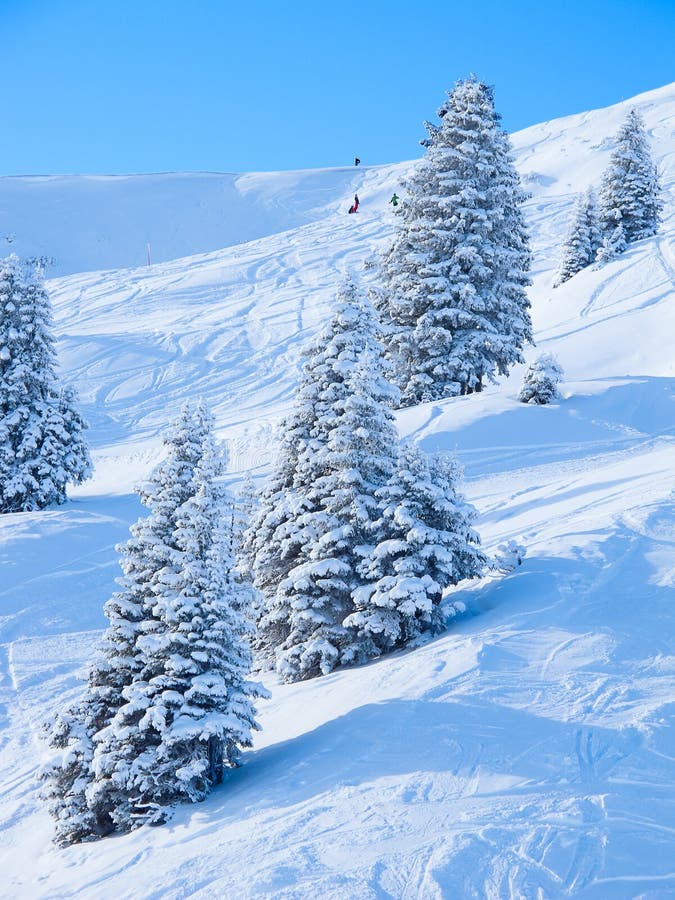 Skiing slope stock image. Image of europe, clean, alpine - 26525659