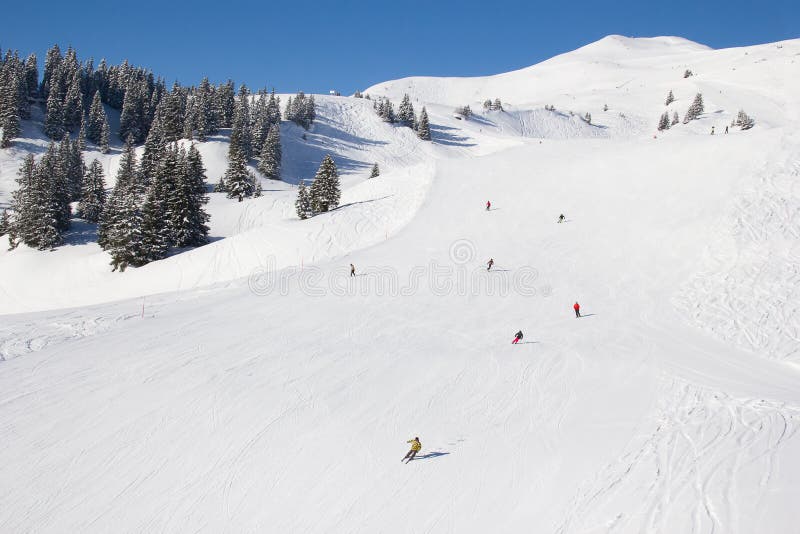 Ski hill and trees stock image. Image of slope, area - 18433681