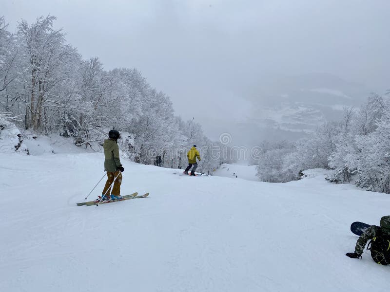 Skiing at snow powder day stock photo. Image of landscape - 206788350