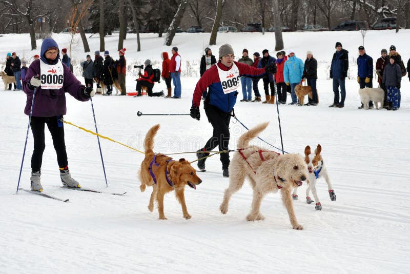 Skijor Loppet editorial image. Image of active, race - 12904625