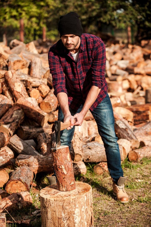 Young Forester with Checklist in the Forest District Stock Image ...