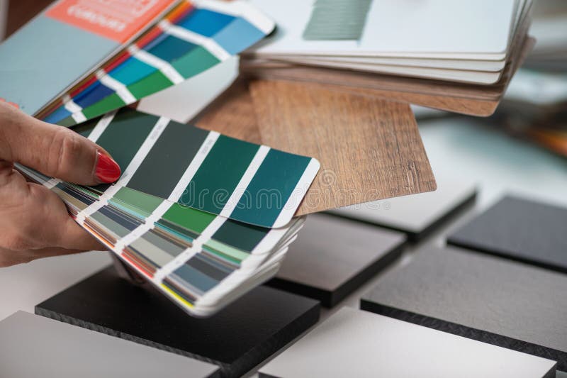 A Skilled Interior Designer Carefully Matches Color Samples, Selecting ...