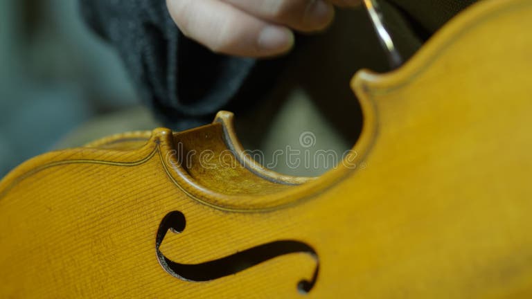 Skilled Luthier Applying Traditional Varnish Technique on Violin ...