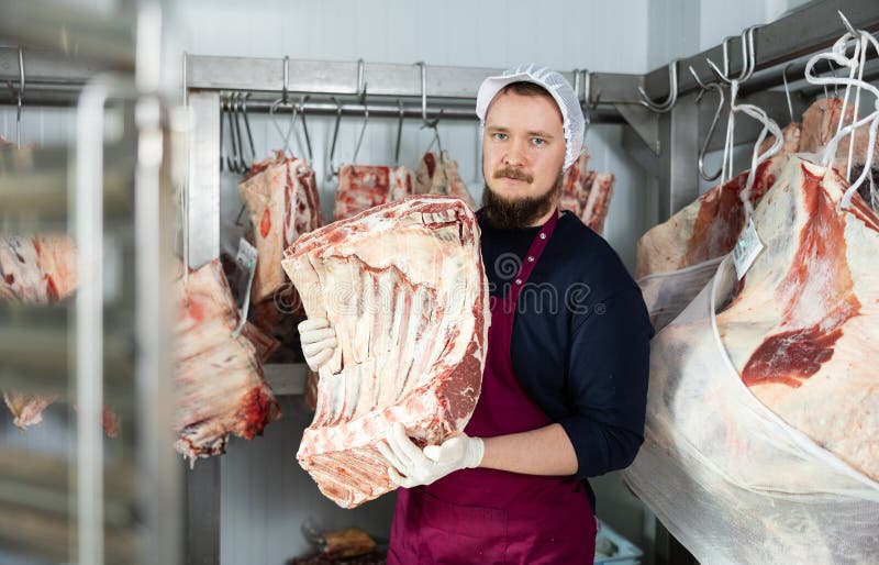 Bearded Butchery Worker Preparing Fresh Veal Cuts for Sale Stock Photo ...