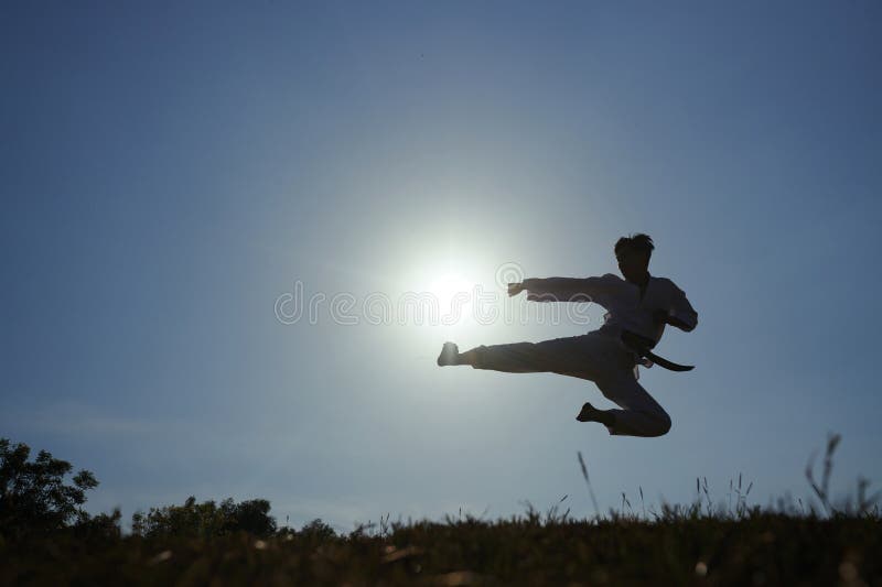 Skilled taekwondo athlete stock image. Image of power - 312383577