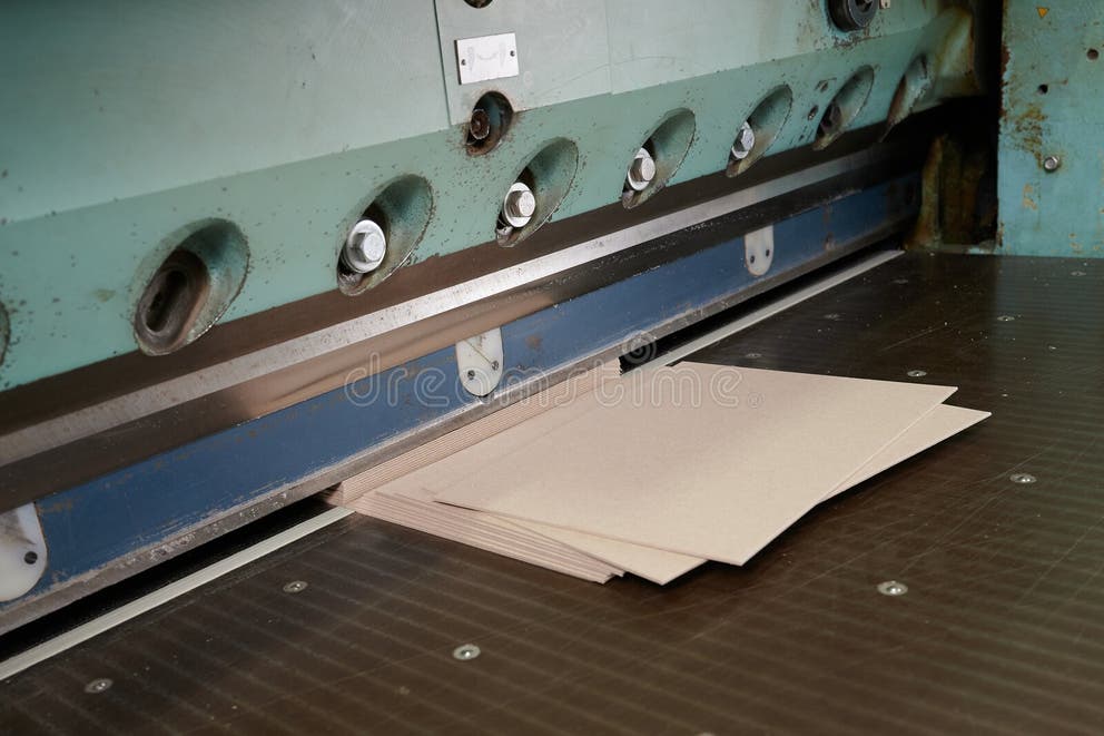 Skillfully Cutting Cardboard Sheets with Precision Guillotine Shears in ...