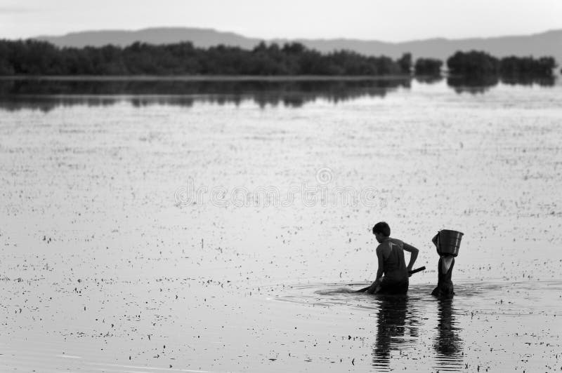 Skim Fishing stock image. Image of water, peaceful, cebu - 6275207