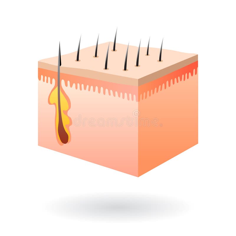 Human people chain vector stock vector. Illustration of hold - 8957931