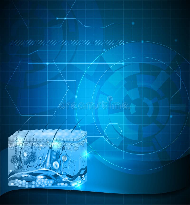 Skin Anatomy Abstract Blue Background Stock Illustrations – 159 Skin ...