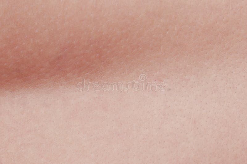 Skin of a Back of a Man. Abstract Shot. Stock Photo - Image of macro ...