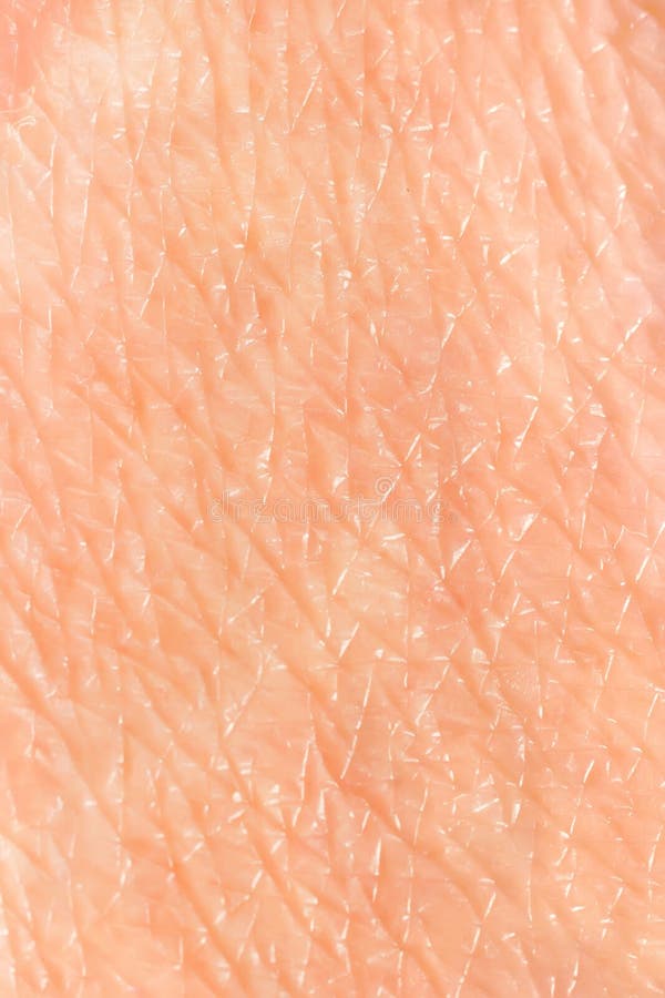 Human skin macro stock image. Image of corneum, skin - 14341663