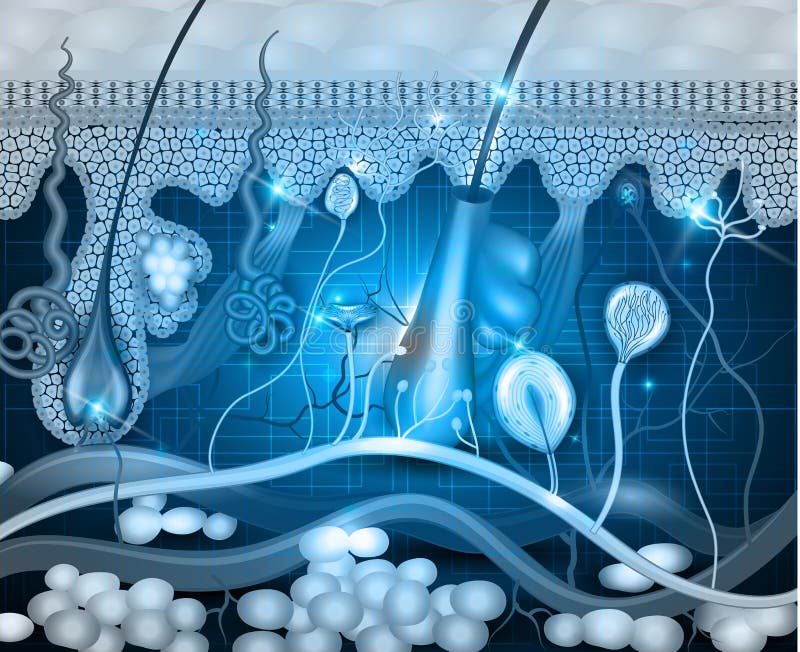 Skin background stock vector. Illustration of care, genetic - 49775127